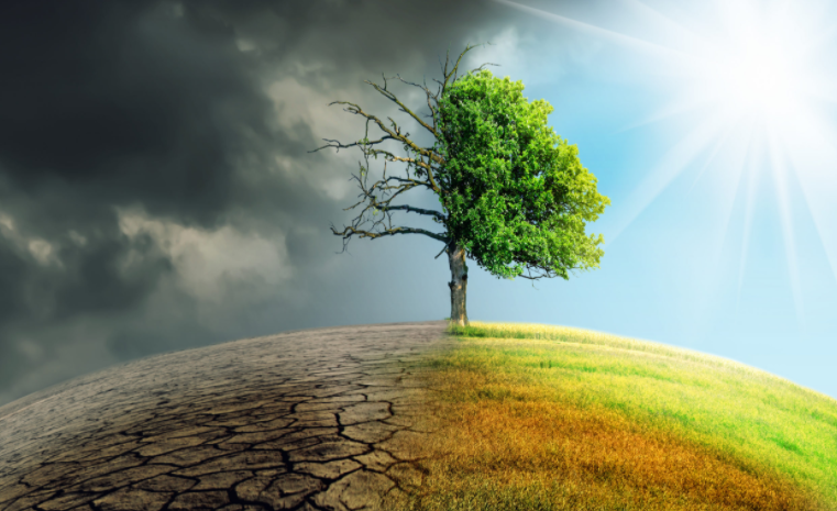 25 Biblical Affirmations that Speak Life – Welcome to Soulful Reflections!